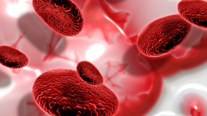 Understanding Blood Type: The ABCs of Blood Groups